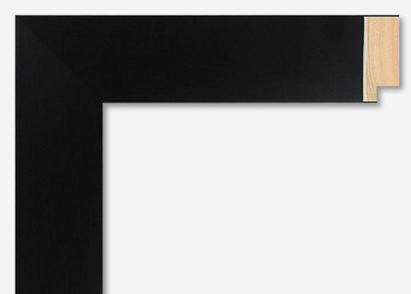 Custom Frame CFSZ0369 – Nation's Largest Custom Frames Supplier ...