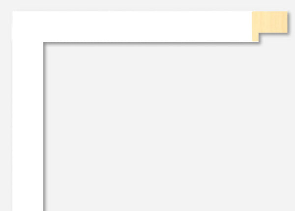 Design Your Custom Picture Frames Online | Custom Frame Solutions